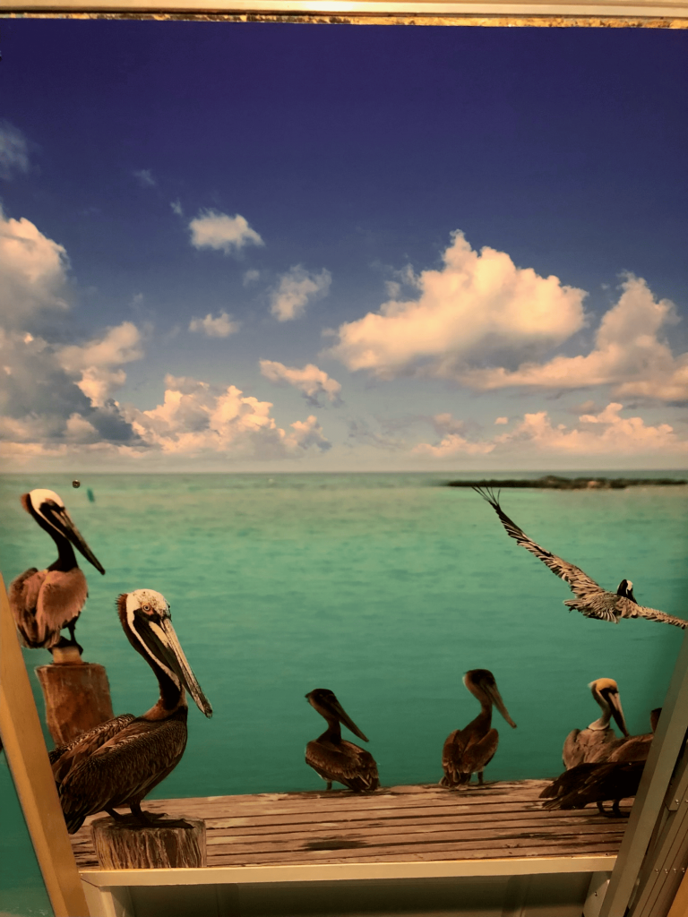 Elevate Your Living Experience with Hit Signs' Stunning Beach-Themed ...